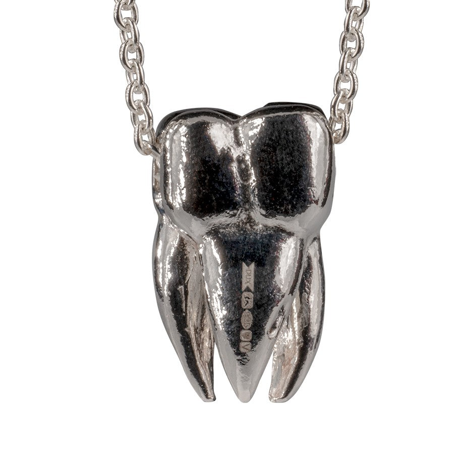Sterling Silver Tooth Necklace | Shop Now | Duxford Studios UK